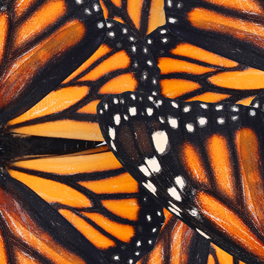 Change Doesn’t Have to Be Scary: Why I Love What Most People Dread